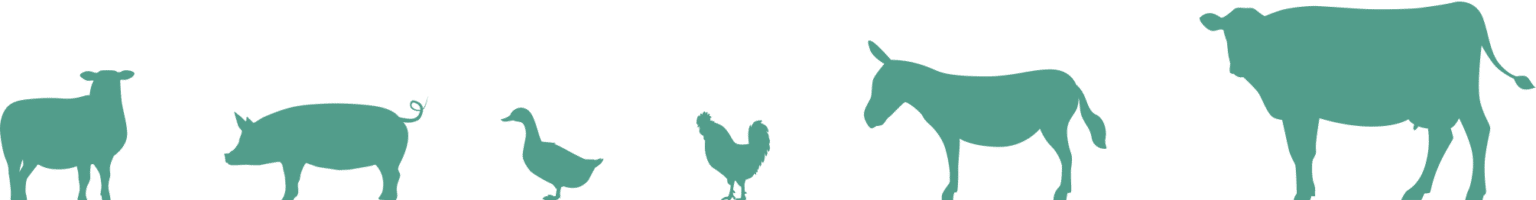 QBA - Positive Animal Welfare